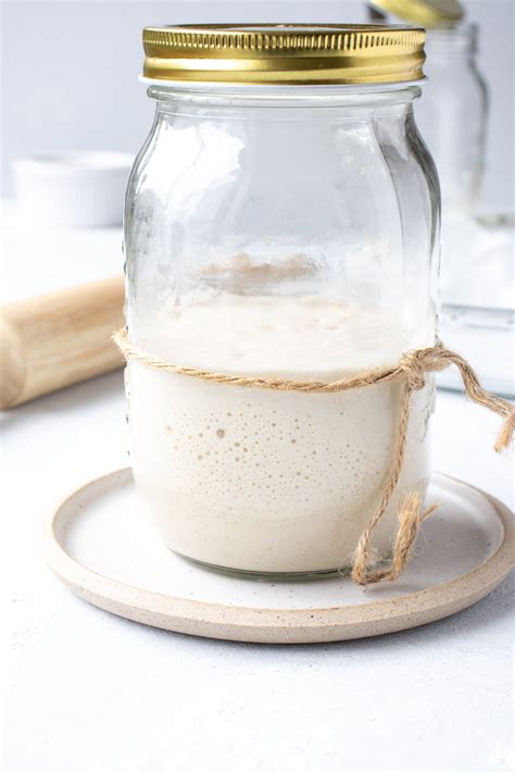 Easy Homemade Sourdough Starter — Stripes And Willows