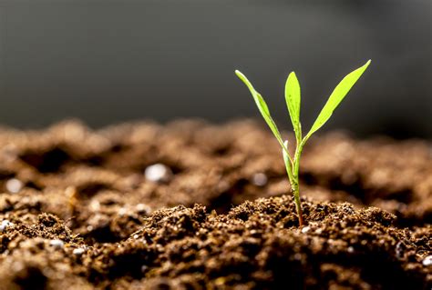 Improving Fertilizer Use Efficiency Focus Of Three Ontario Companies Farmtario