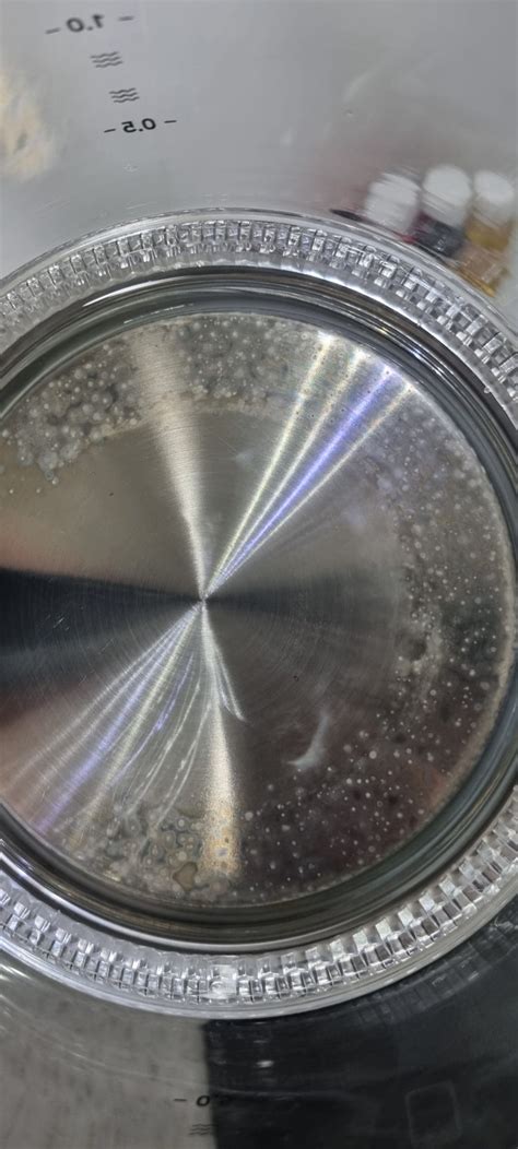 전기 커피포트에 곰팡이 생긴건가요 지식in