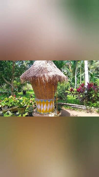 වී බිස්ස දැකලා නැති පුංචි බබාලට Youtube