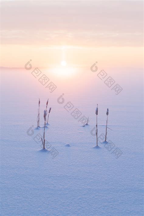 冰冻的冬季湖在雪下的木材 包图企业站
