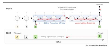 Figure 1 From Backpropagation Through Time And The Brain Semantic Scholar