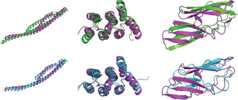 A Selection Of The Best Models Submitted In Casp10 The Native