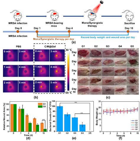 Antibacterial Performance Of Monosynergistic Therapy In Vivo A