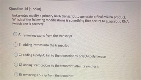Solved Question 14 1 Point Eukaryotes Modify A Primary Rna