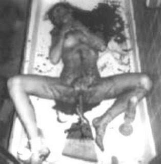 Goebbels Sex Porn Pornstar Xxx Movies