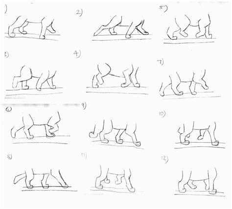 Cat Walk Cycle Reference