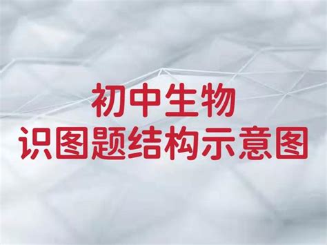 应考技巧丨初中生物识图题常用结构示意图 知乎