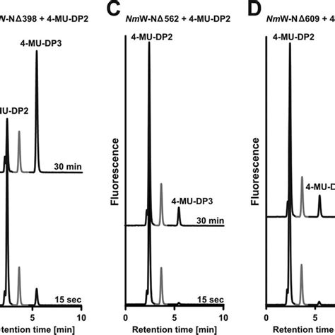 Activity Testing Of Truncation Mutants Truncation Mutant Comprising