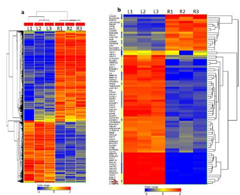A B Gene Expression Analysis Of Lncap And Metr Cells Total Rna Was Download Scientific