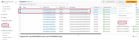 How To Manually Downgrade Sql Server Enterprise Edition To Developer Edition On Aws And Save On