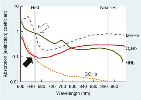 Pulmonary Physiology Clinical Tree