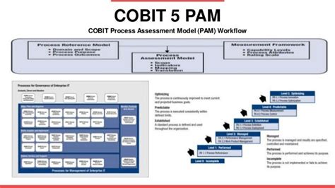 It Governance Cobit 5 Maturity Assessment