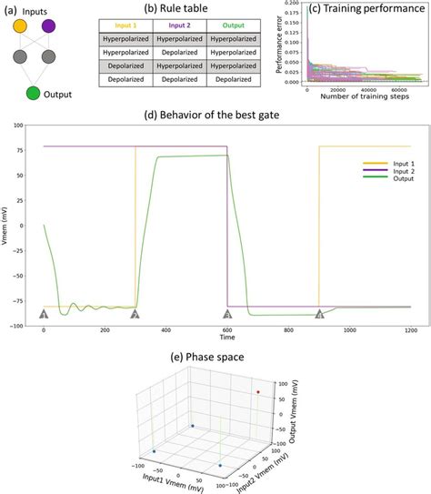 The AND Gate A A Schematic Of The AND Logic Gate And Its Rule Table Download Scientific