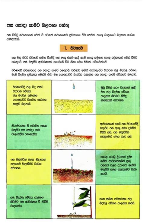 🔴පස සෝදා යාම හෙවත් පාංශු ඛාදනය Geography Expert