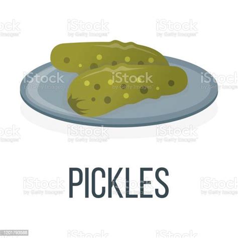 피 클 건강 식품 스타일 컨셉 아이콘 및 라벨 천연 프로바이오틱스 심볼 아이콘 배지 만화 벡터 일러스트 Kombucha에 대한