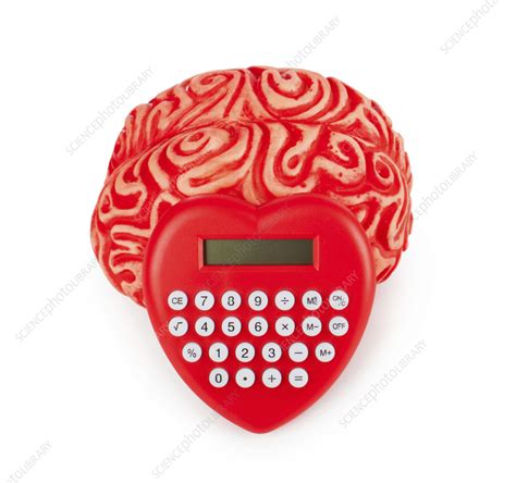 Mathematical Brain Conceptual Image Stock Image F0440223