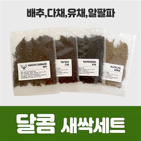 새싹씨앗 달콤 새싹세트 4종 코아코아