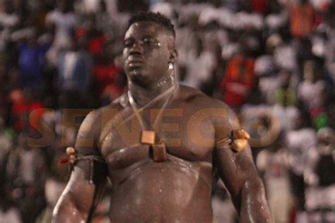 30 Photos Lutte Sa Thies Résume Ness En Une Minute Regardez Le Film Du Combat