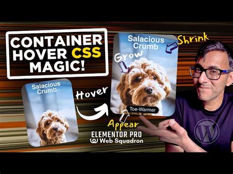 Free Video Grow Shrink And Appear On Container Hover Css Tutorial