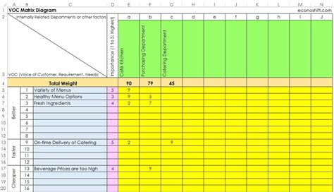 Lean Six Sigma Has To Start From Voice Of Customer Voc 【excel Template