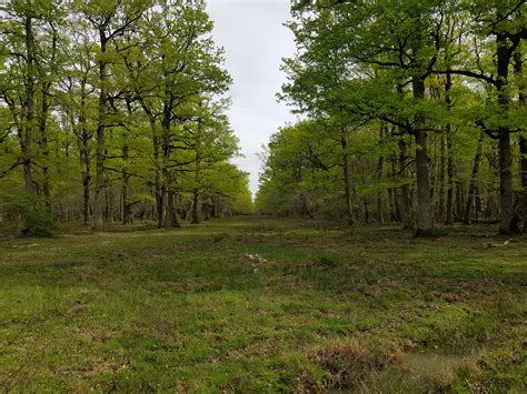 აჯამეთის აღკვეთილი რელიეფი და ნიადაგები