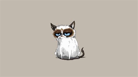 Cute Cartoon Cat Wallpapers 4k Hd Backgrounds On Wallpaperbat