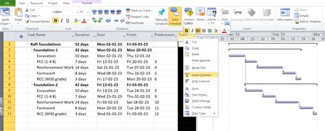 How To Add Resources In MS Project