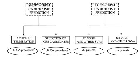 6 Schematic Diagram Of The Ecg Databases Employed For The Experimental Download Scientific
