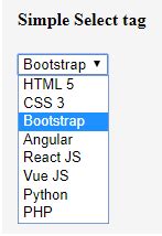 Select Tag In Html Learn The Examples Of Select Tag In Html