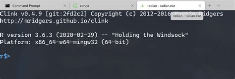 Radian Icon · Issue 196 · Randy3kradian · Github