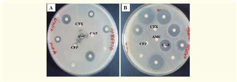 Figure 2 From Comparison Of Double Disk Synergy Test And Combination Disk Test Methods For The