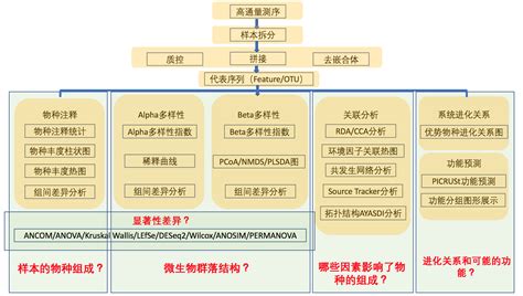 微科盟16s扩增子数据分析结题报告