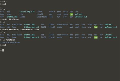Solved 1 Make Your Home Directory Your Working Directory