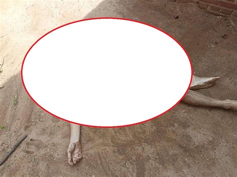 Khit Thit Media မြိုင်မြို့နယ်တွင် ဖမ်းဆီးရမိပြီး သေဆုံးသွားသော ဗိုလ်ဆန်းဝင်းအောင်မှာ နေပြည