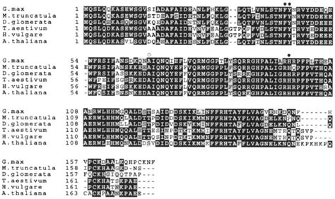 Multiple Sequence Alignment Of Gmglb3 And Previously Reported Plant Download Scientific Diagram