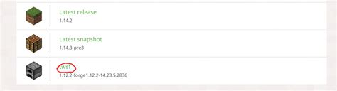 Forge Startup Is A Black Screen Support Bug Reports Forge Forums