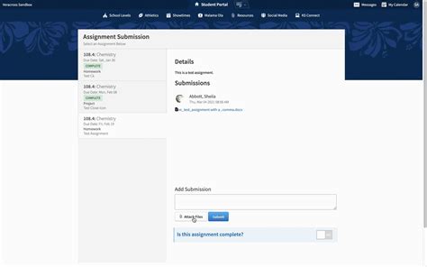 Configuring The Student Assignment Submission Interface Configuring The Student Assignment Submission Interface