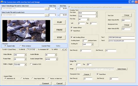 Video Edit Pro Activex Control Download Free Windows 50 Softpedia
