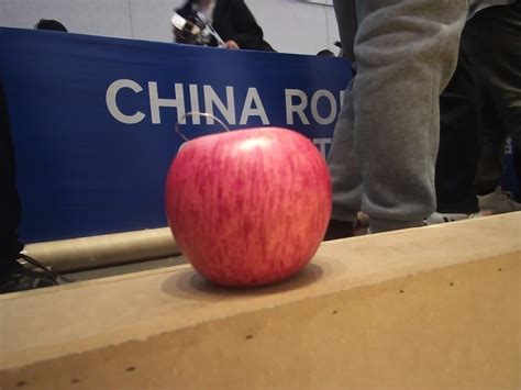 Apple Object Detection Dataset By Elysian