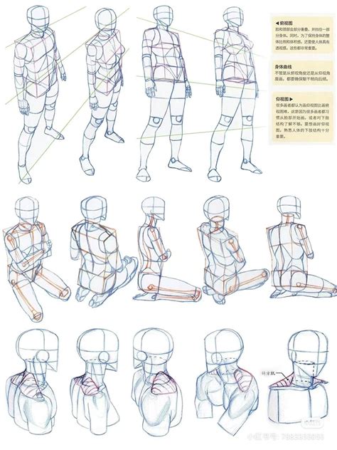 Drawing A Figure Tutorial Structure Figure Drawing Tutorial Human