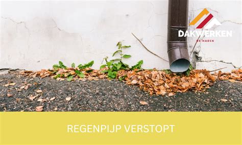 Regenpijp Verstopt Oorzaken Oplossingen En Preventie