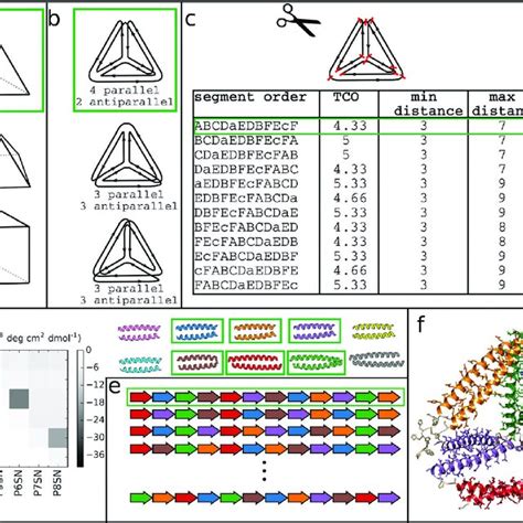 Schematic Representation Of The Coiled Coil Structure And Interaction