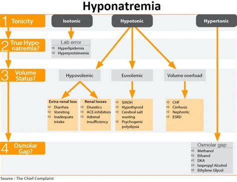 Cardiophilia Hyponatremia Diagnosis Hypovolemic Check Volume