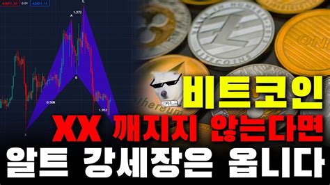 알트코인 대불장 결국 이렇게 옵니다 Youtube
