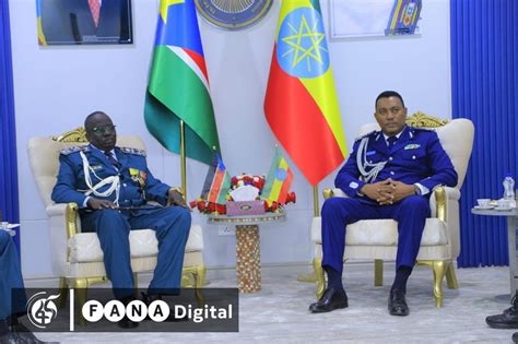 ኢትዮጵያና ደቡብ ሱዳን ሕገ ወጥ የጦር መሣሪያ ዝውውርን በጋራ ለመከላከል ተስማሙ Welcome To Fana Media Corporation S C