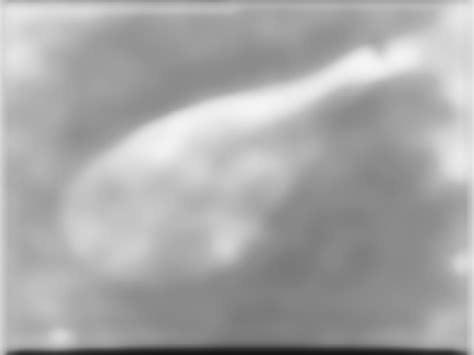 Batchnormalization Layer Gives Inconsistent Output For Modelpredict · Issue 12400 · Keras