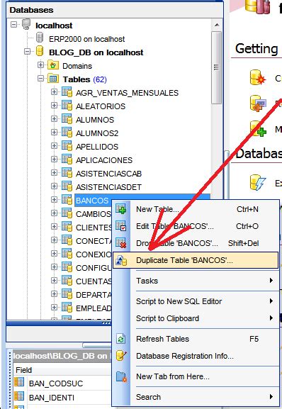 Duplicar Una Tabla Firebird Sql