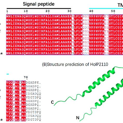 A Sequence Alignment Of Holp2110 With That Of Phage Gervaise Gp4 Download Scientific