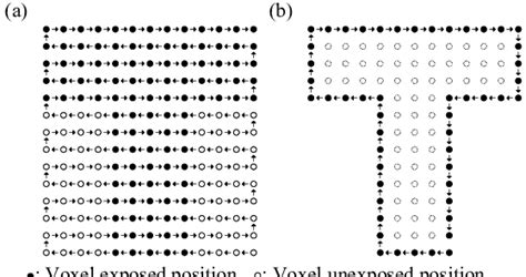Two Fabrication Strategies A Raster Scanning Method B Contour Download Scientific Diagram